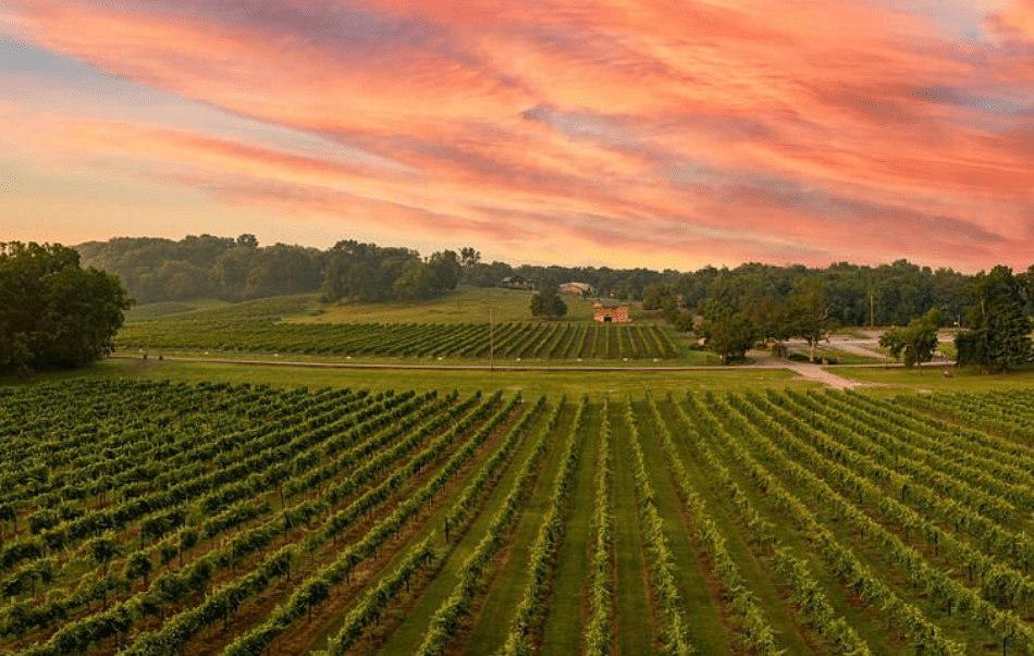 2024 All Fifty Club Convention - All Fifty Club